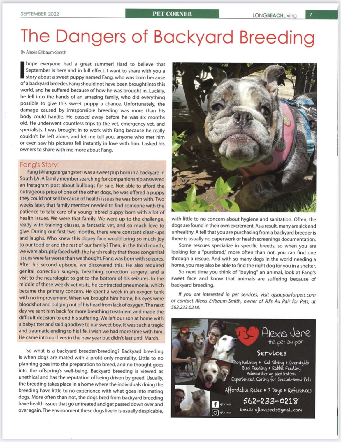 Dangers of Backyard Breeding – AJ's Au Pair for Pets