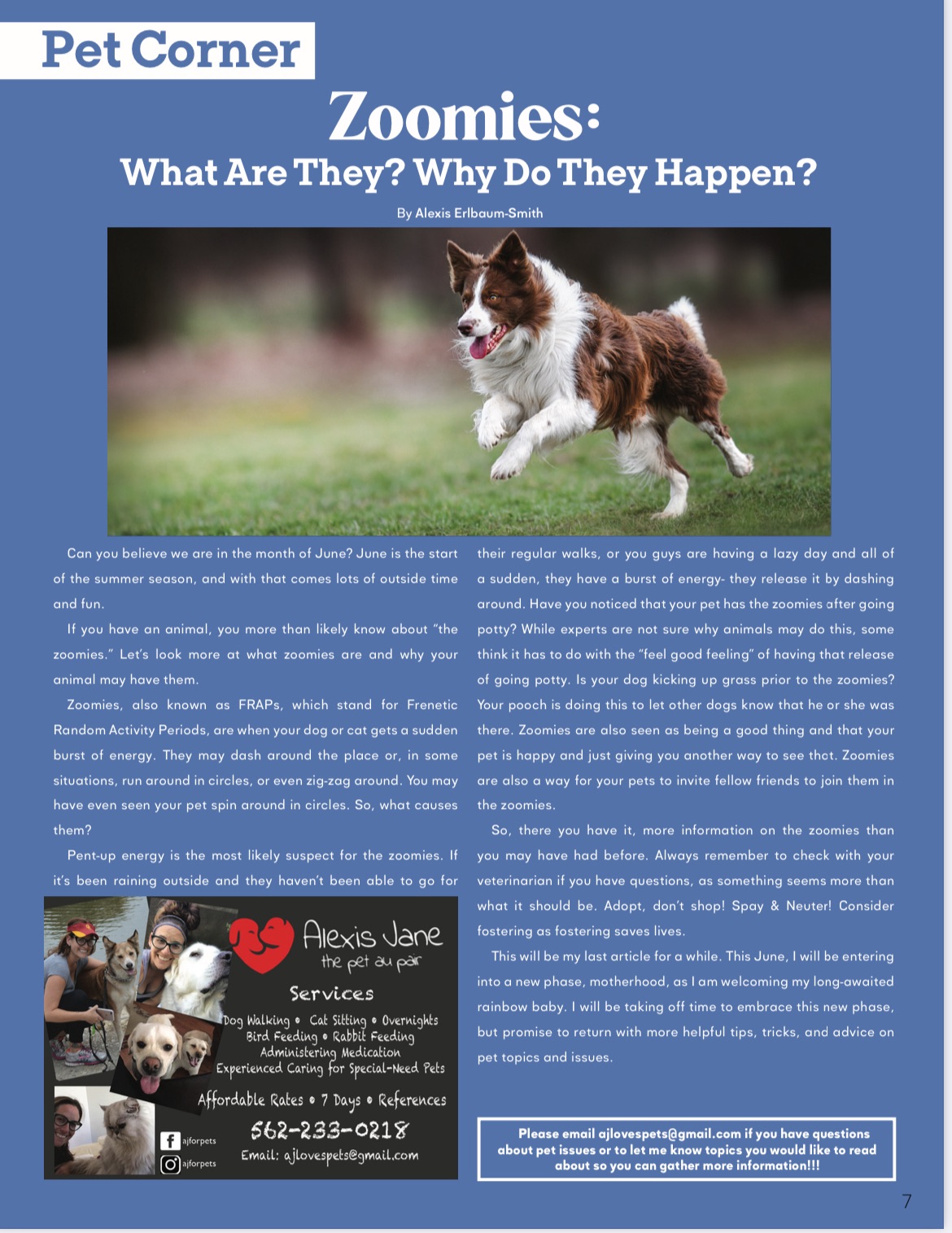 Zoomies: What Are They? Why Do They Happen? – AJ's Au Pair for Pets